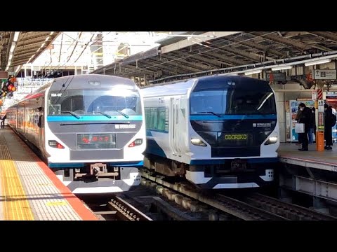2023.1.25 JR東日本東海道線特急踊り子4号&踊り子13号（E257系NA-07編成・E257系NA-05編成＋NC-33編成） - YouTube