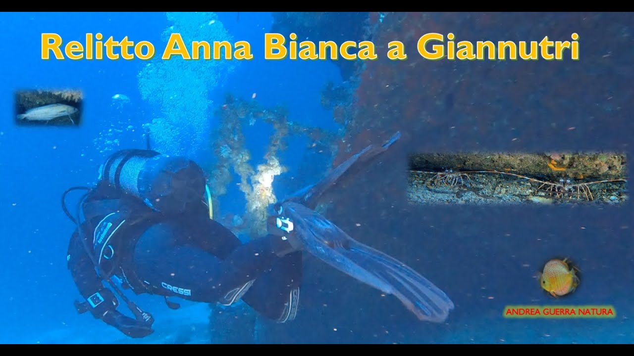 Anna Bianca a Giannutri - 30/10/2021 - YouTube