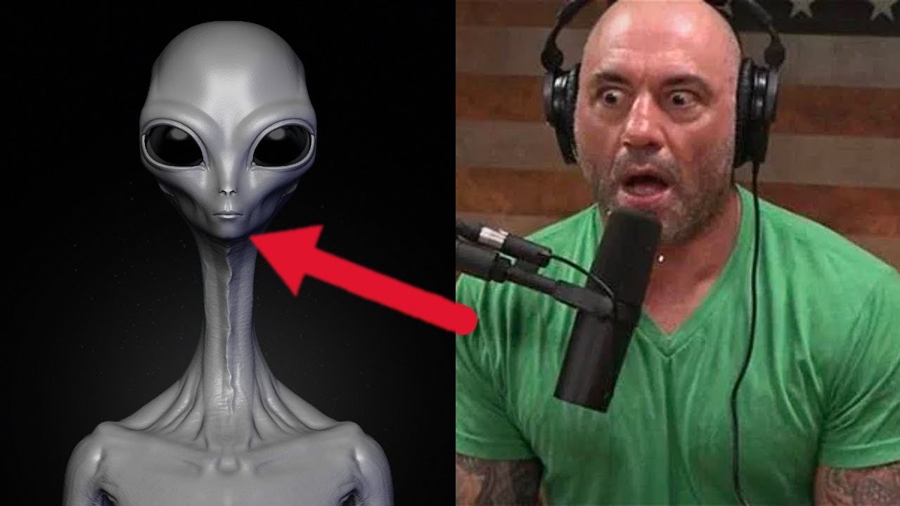 Joe Rogan Reacts: "It Looks Like We Might Have Found Evidence Of Aliens ...