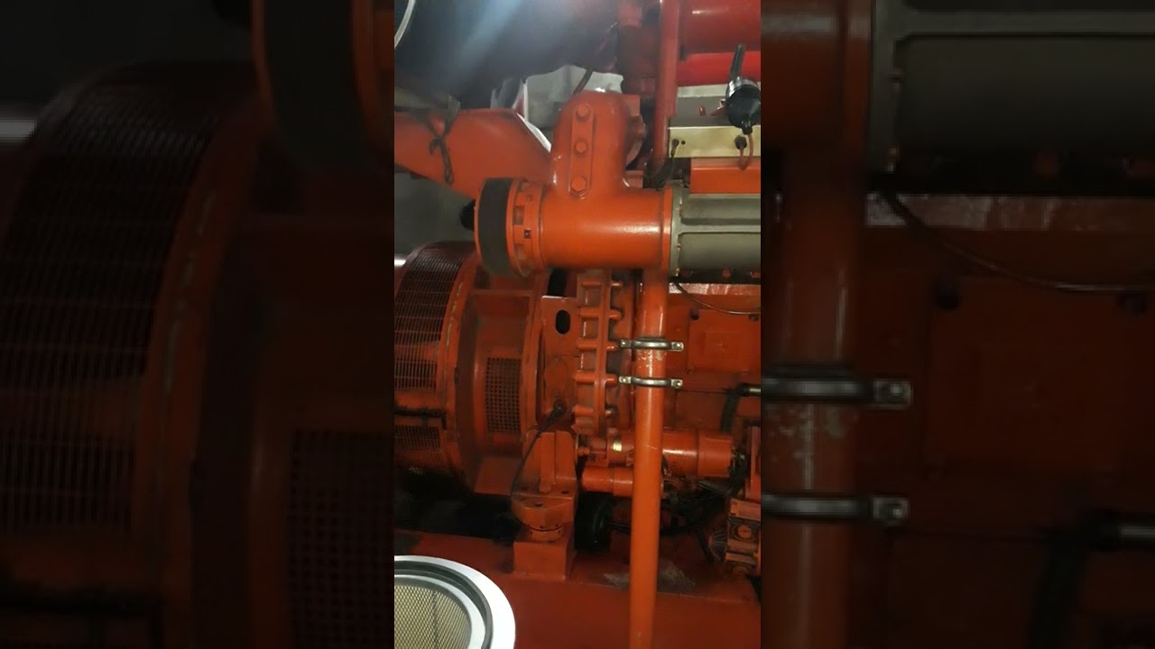 GUASCOR GAS generator sfgld 560 out look Video - YouTube