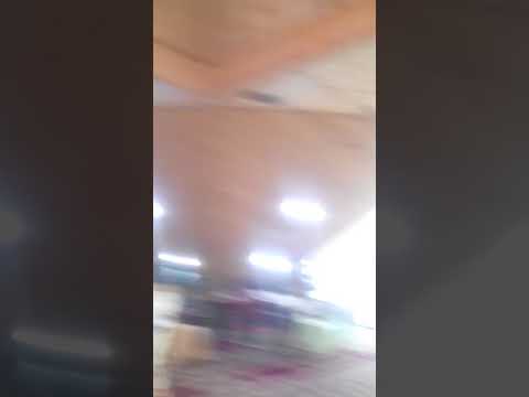 Ziyad saz havaları