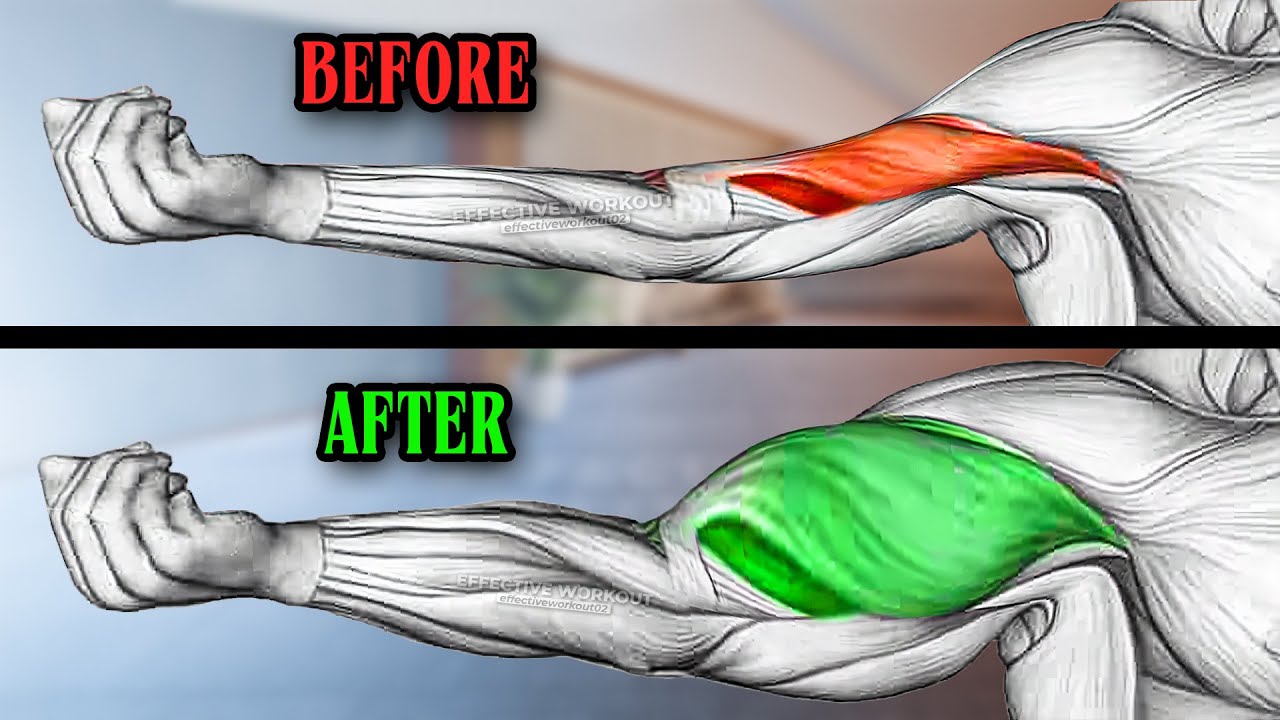 5 Best Exercises for Huge Biceps Workout - YouTube