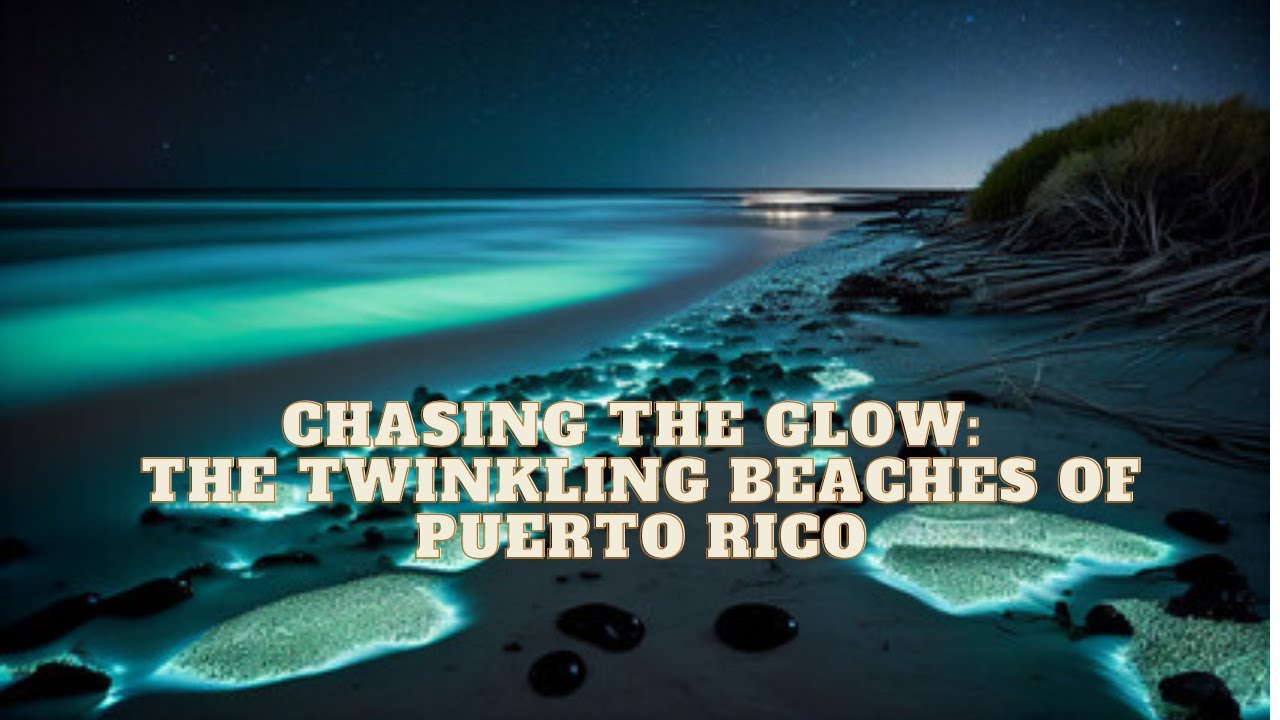 Glowing Wonders: Bioluminescent Beaches of Puerto Rico - YouTube