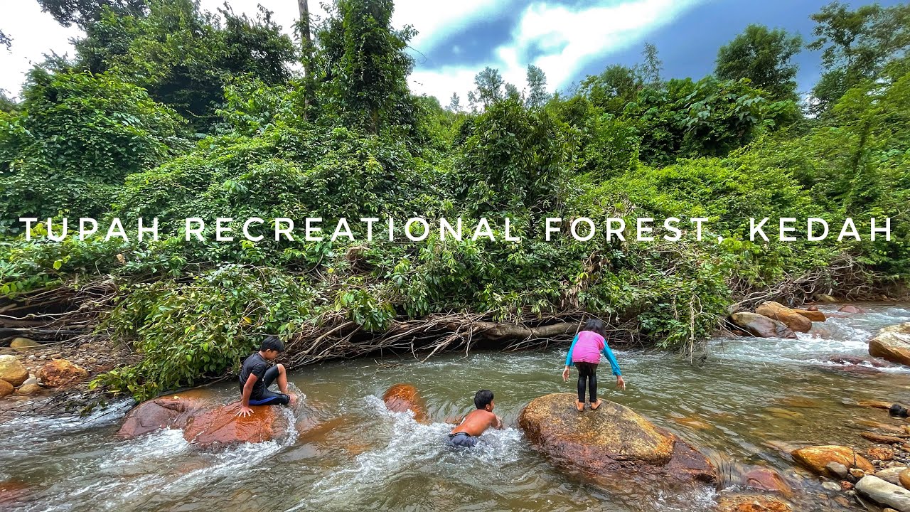 Tupah Recreational Forest, Kedah - YouTube
