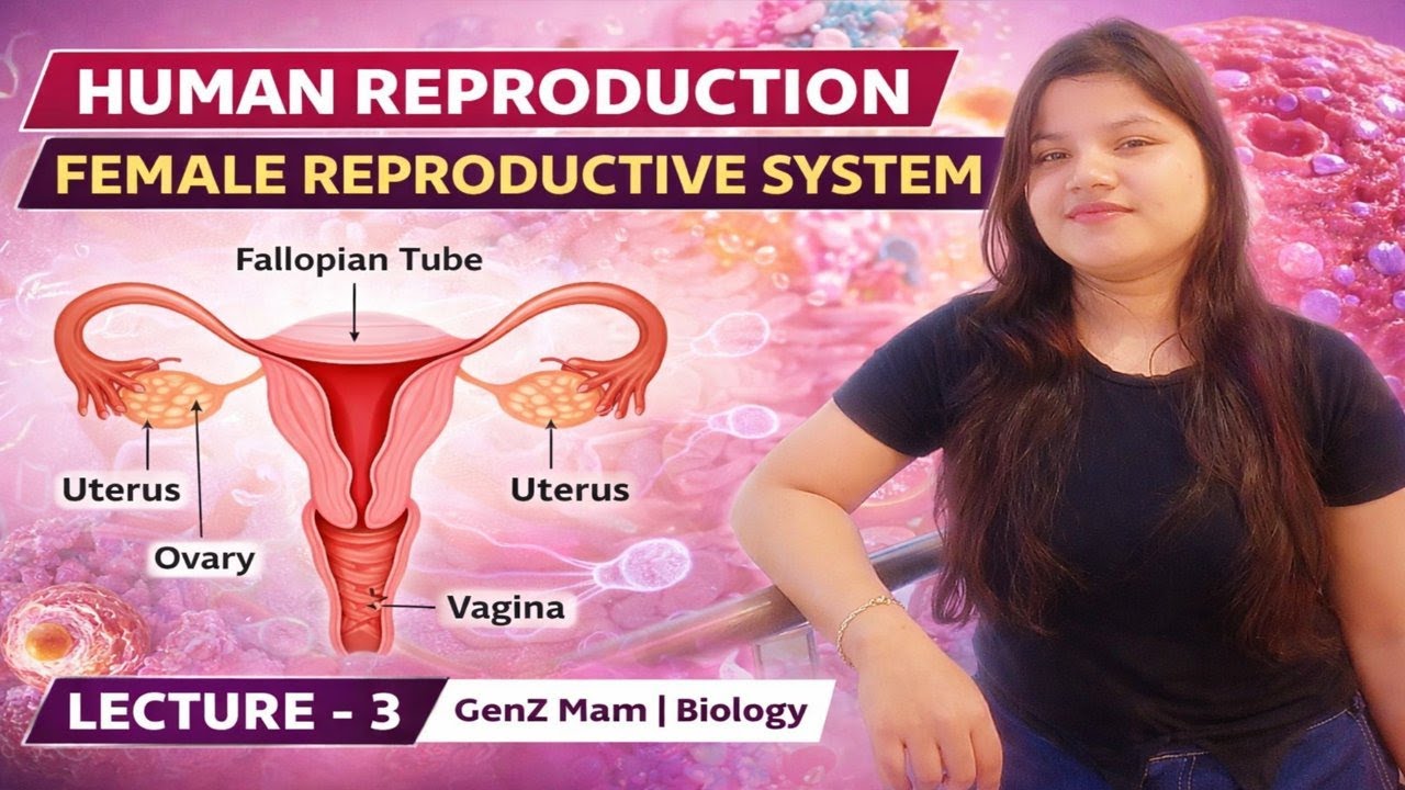 Human Reproduction| Female Reproductive System| Lecture-3|Class 12 ...