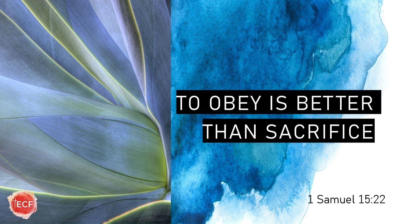To obey is better than sacrifice - Paul Wiles - YouTube