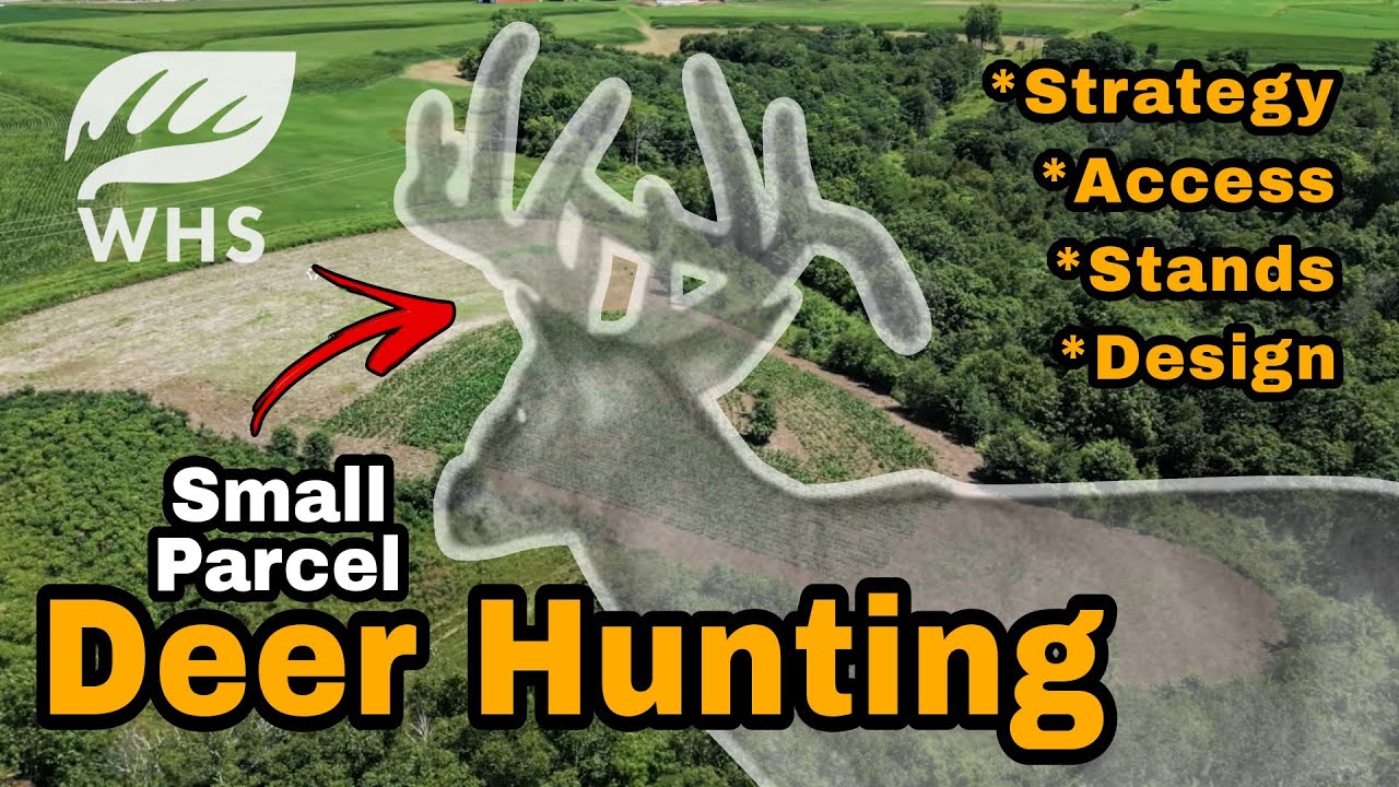 Small Parcel Hunting Plan Tips - YouTube