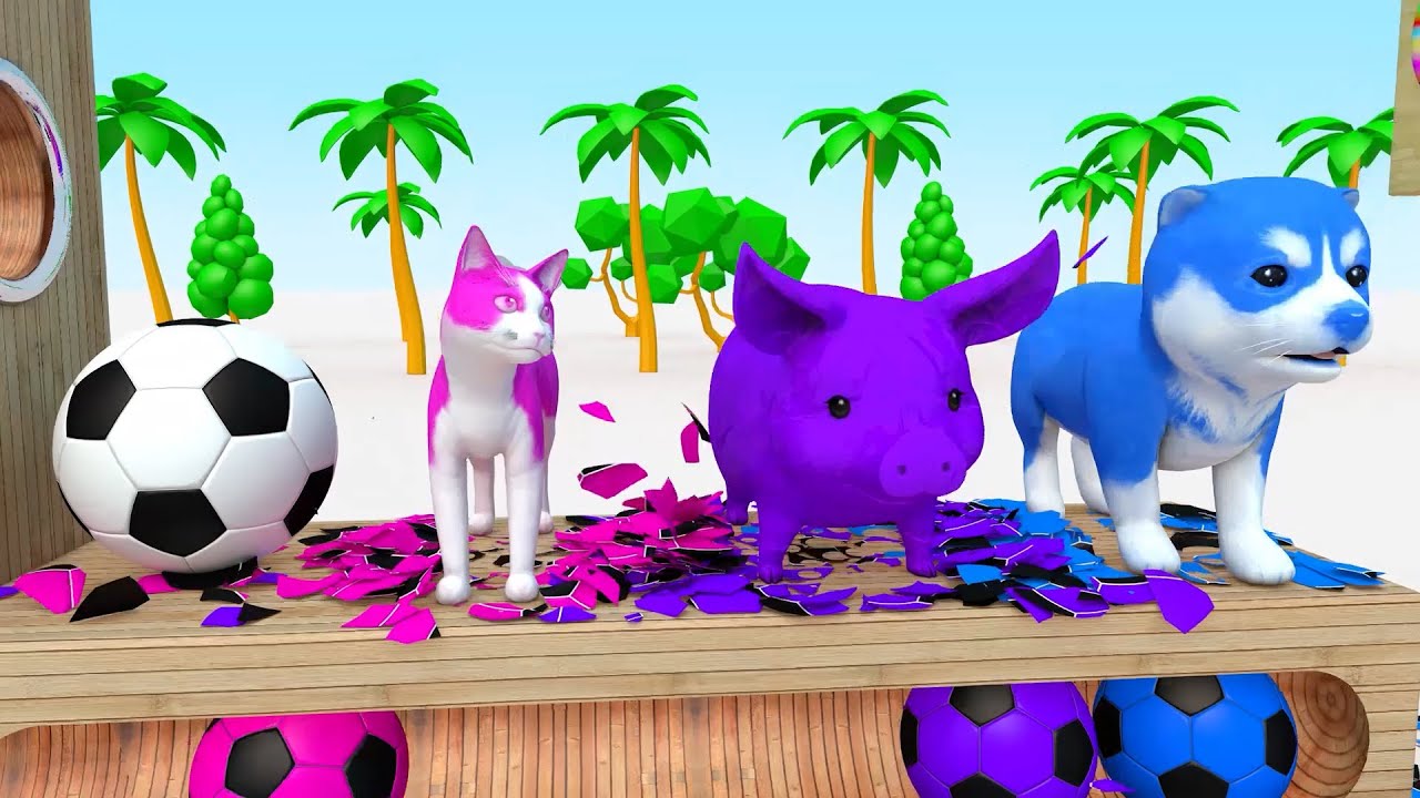 Bingo Songs - Baby songs | Study Bee | Tops Song | Nursery Rhymes - Kid ...