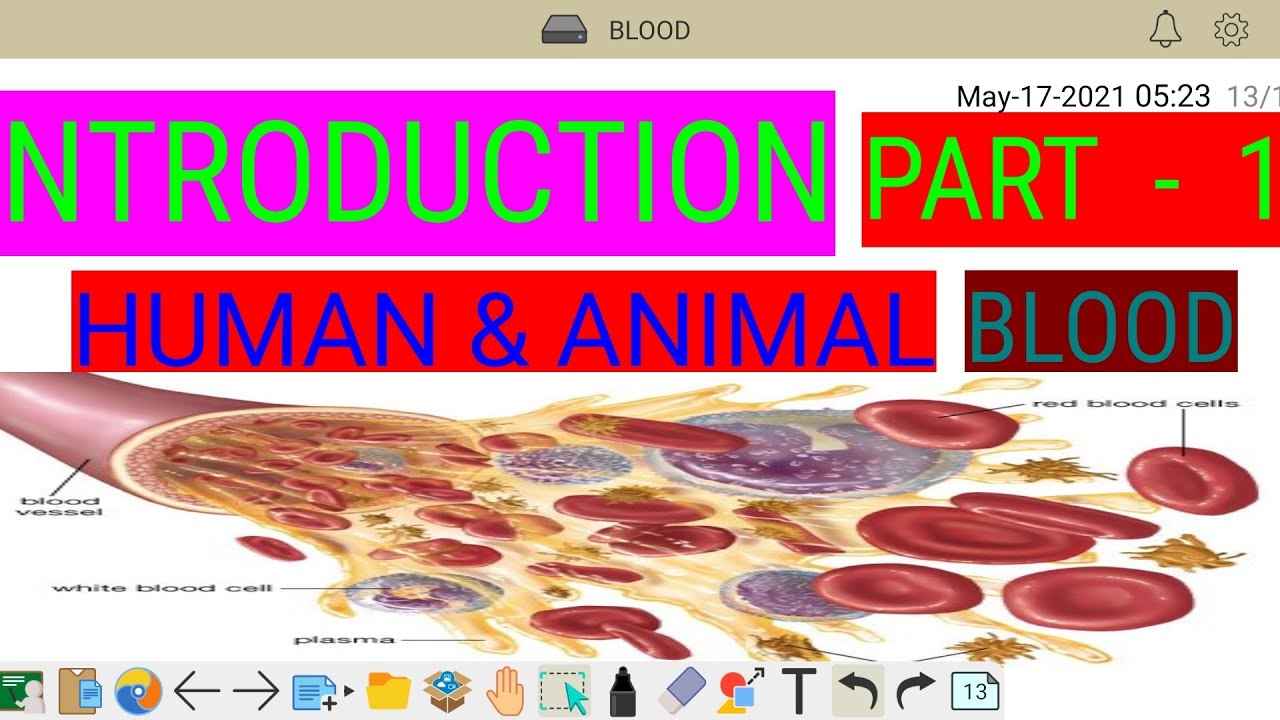 INTRODUCTION OF BLOOD LIVE - YouTube