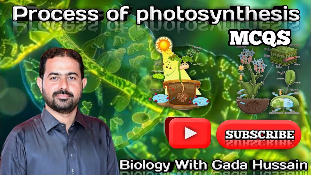 Photosynthesis Mcqs II Exams Preperation - YouTube