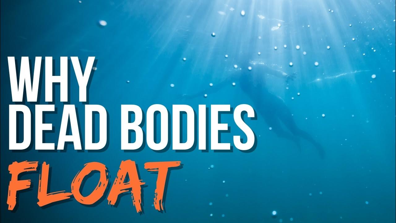Why Dead Bodies Float: The Forensic Science of Decomposition in Water ...