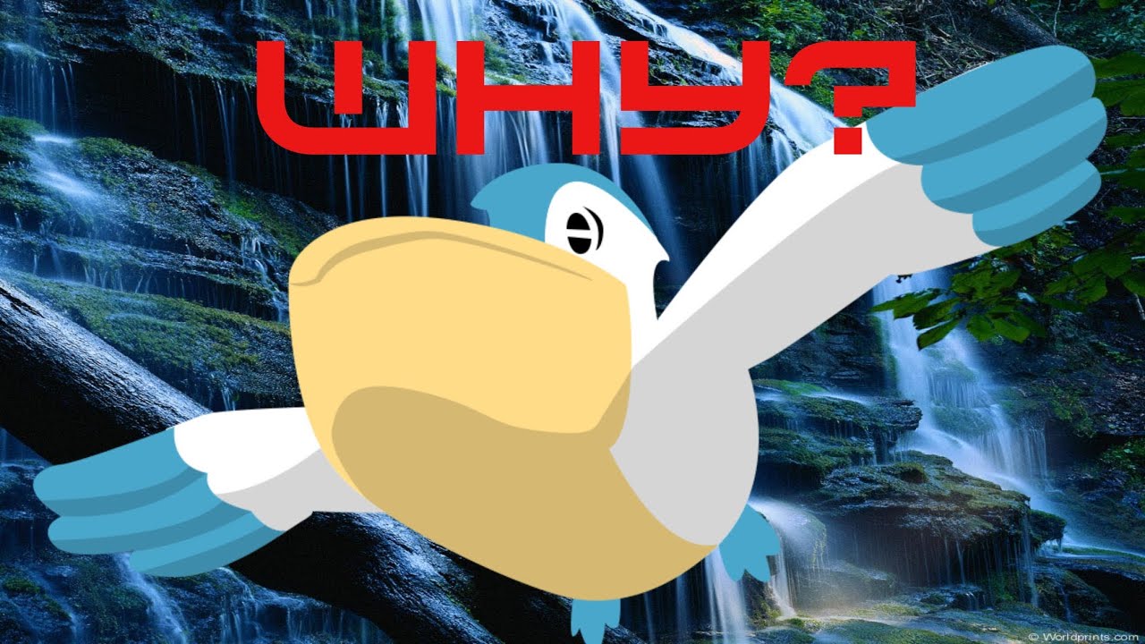 Why Mega Evolve? #5 Pelipper - YouTube