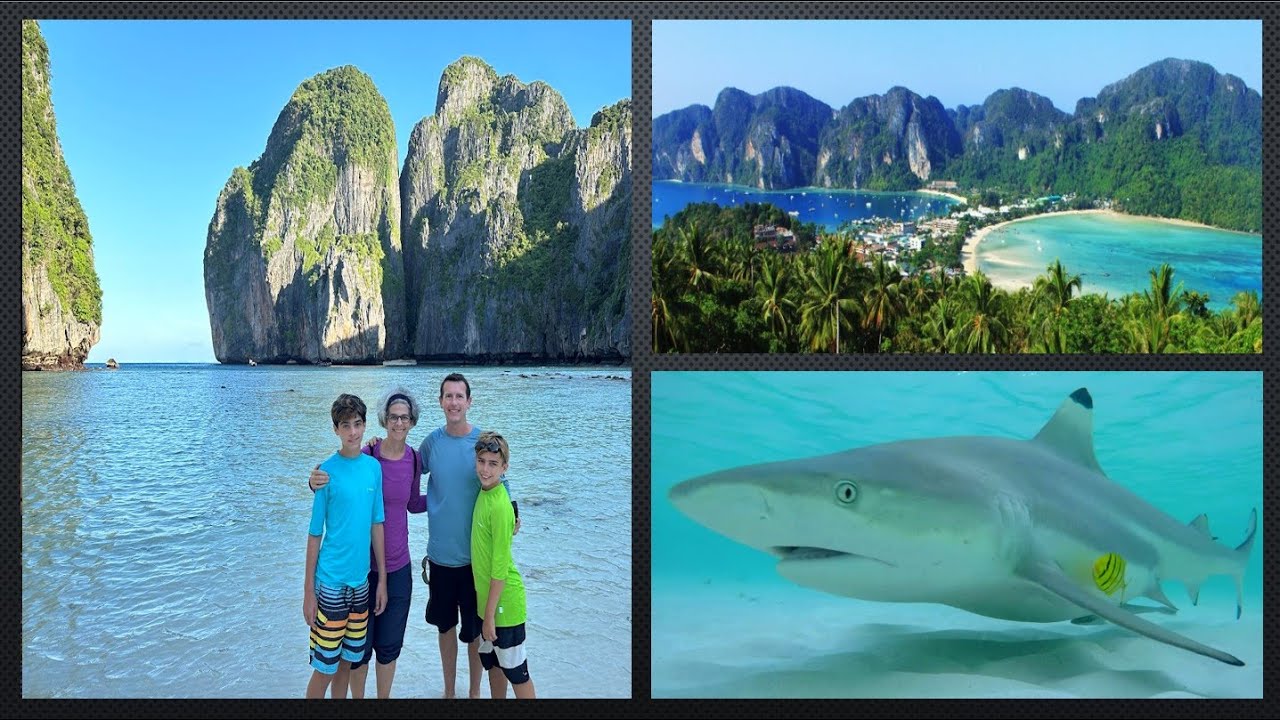 Swimming with Sharks: U.S. Family Explores Phi Phi and Maya Beach ...