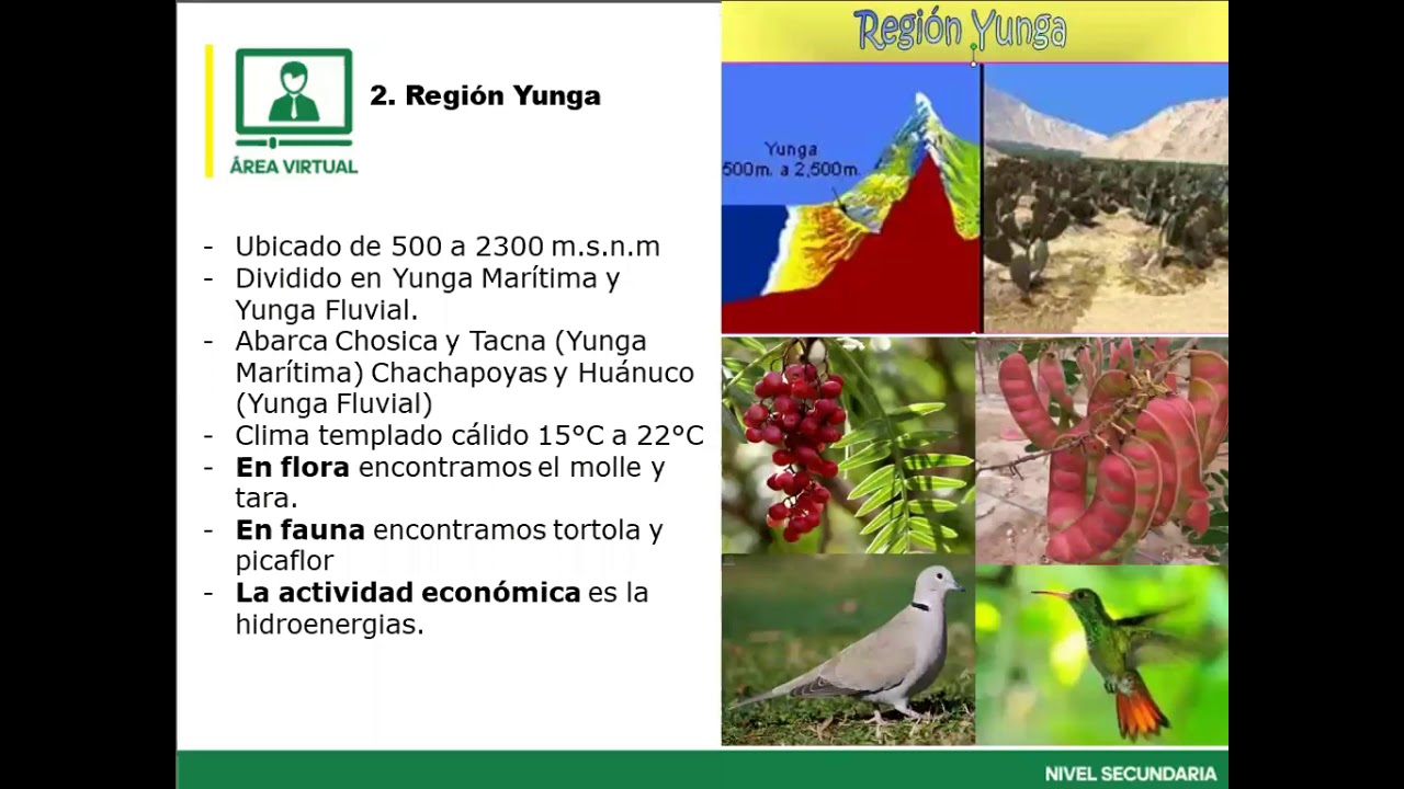 Tema 5 Geografia Las 8 Regiones Naturales - YouTube