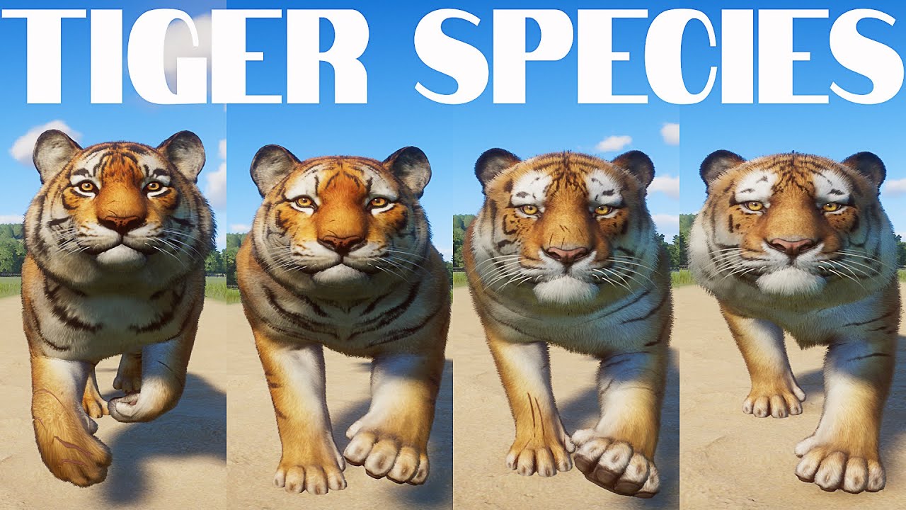 Tiger Species Animals Speed Races in Planet Zoo - YouTube