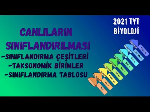 (9. SINIF) 2021 TYT BİYOLOJİ / SINIFLANDIRMA ÇEŞİTLERİ-TAKSONOMİK BİRİMLER-SINIFLANDIRMA TABLOSU