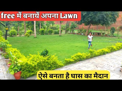 how to grow grass in Lawn || अपना Lawn खुद बनायें
