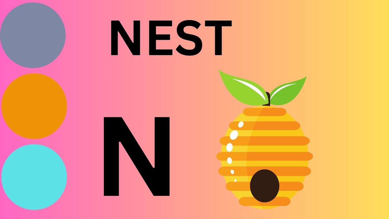 N FOR NEST ABC.CARTOONS FOR KIDS - YouTube