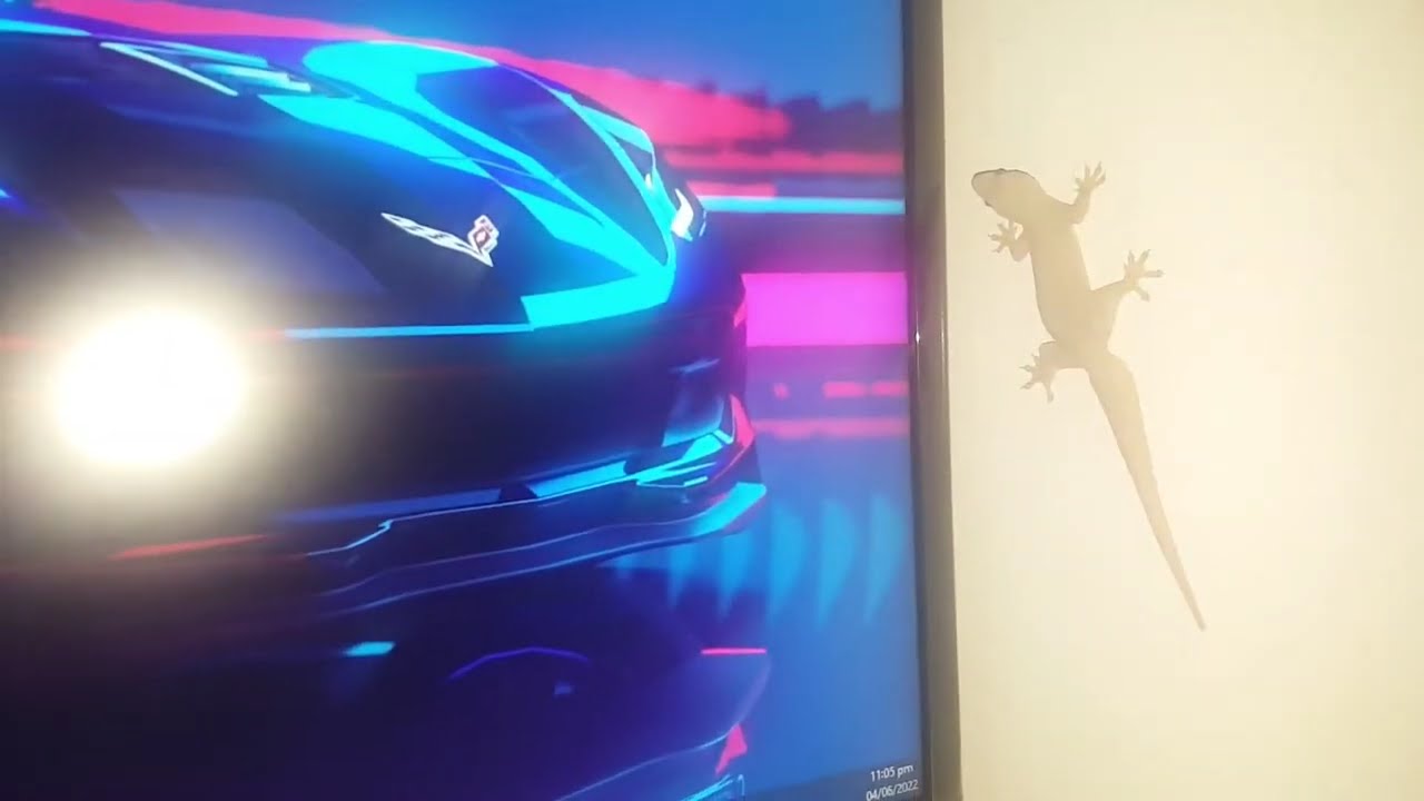 Lizard Eats Cursor - Funny Video - YouTube