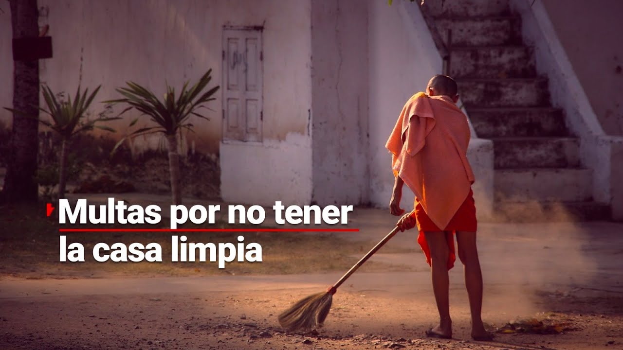 POLÉMICAS MULTAS | En Jonuta, Tabasco impondrán multas por no limpiar ...