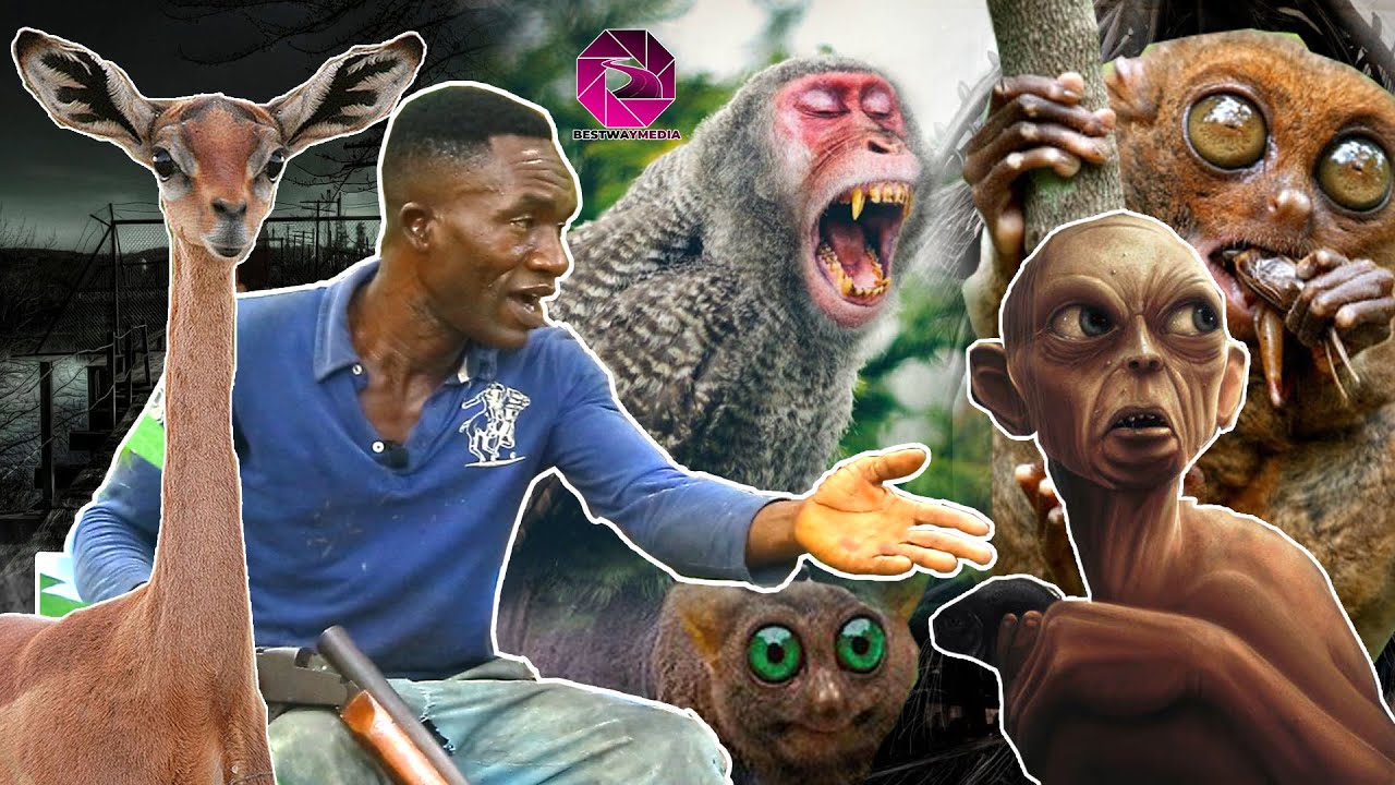 😲Hunting:I got scared when a dwarf was chasing me,crying & calling my ...