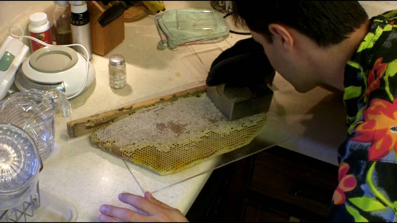 How to Cut Comb Honey - YouTube
