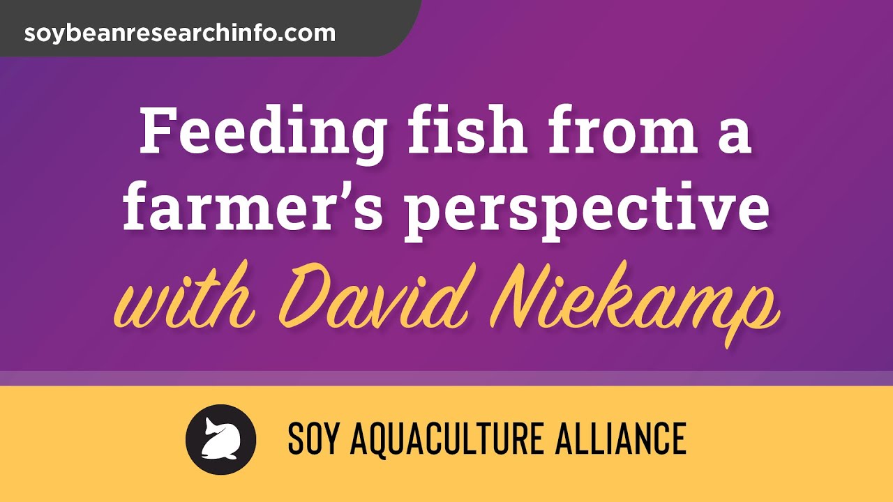 Feeding fish from a farmer's perspective with David Niekamp - YouTube