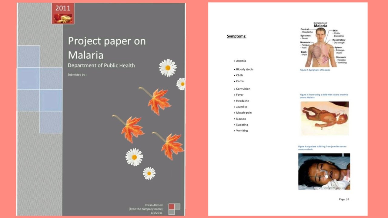 biology project file on Malaria class 12th cbse | Become unique - YouTube