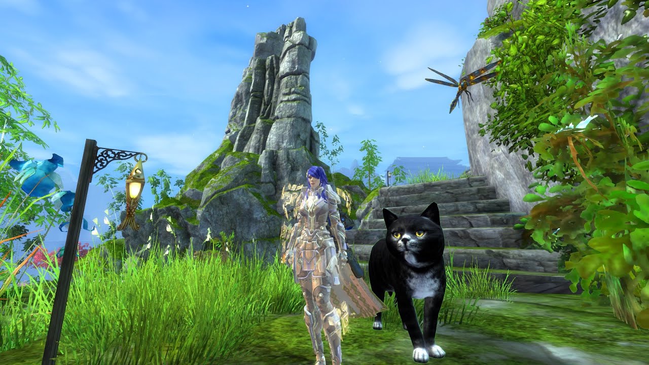 GW2 | So there are GIGANTIC CATS in Seitung Province?? huh..? - YouTube