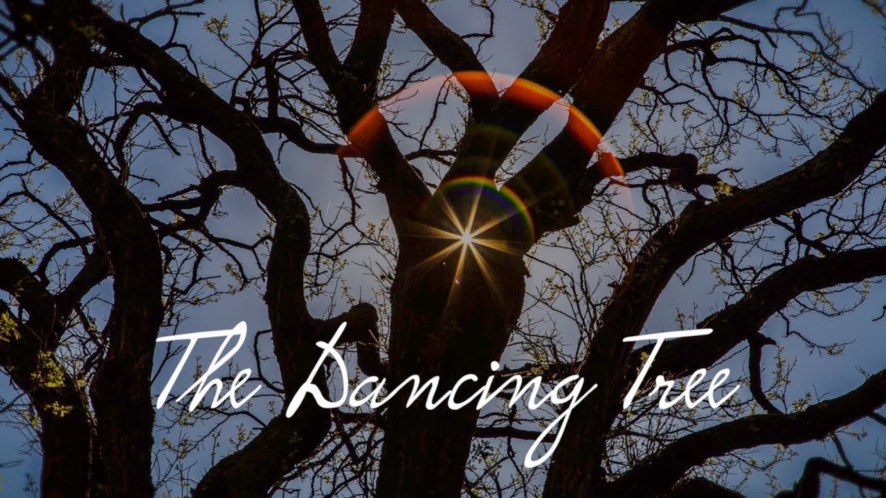 Susan Houchin - The Dancing Tree - YouTube