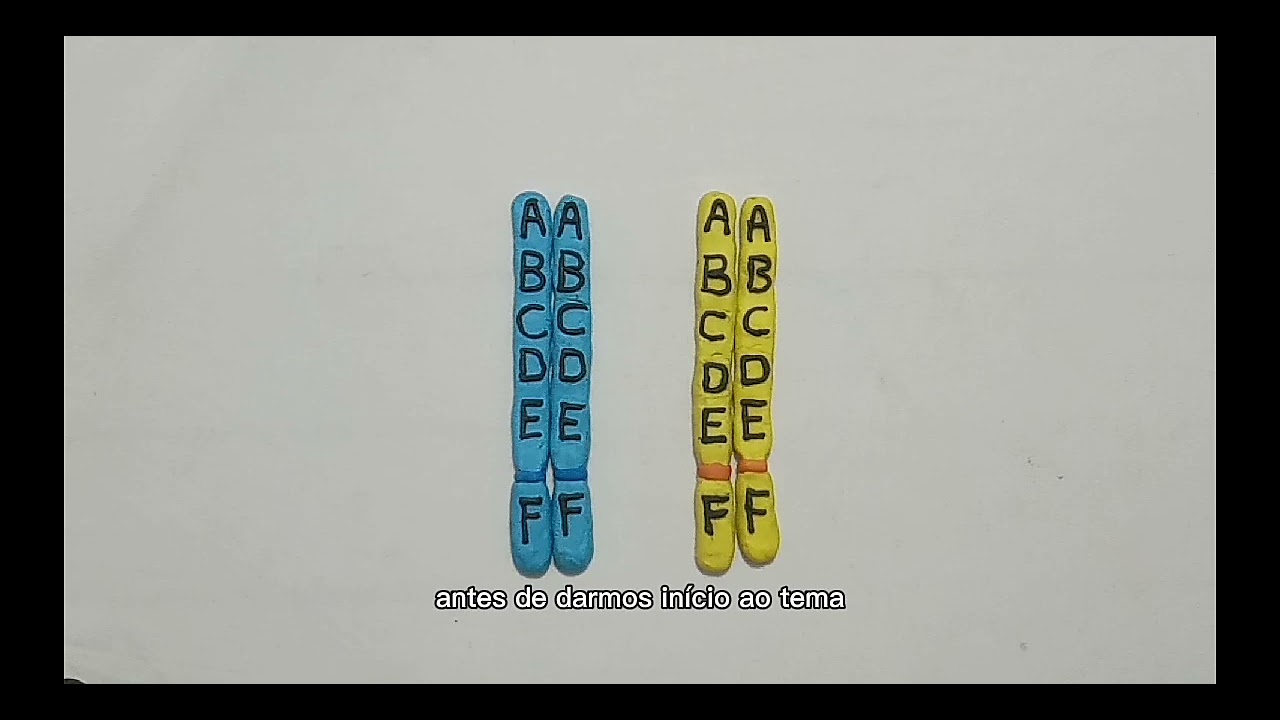 Crossing-over desigual: duplicações e deleções - YouTube