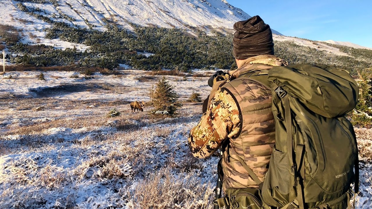 A Once-in-a-Lifetime Bull Moose - YouTube