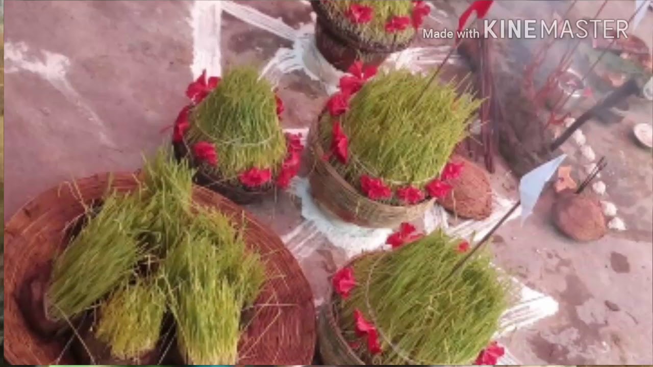 Chaitra navratra jot jawara 2017 - YouTube