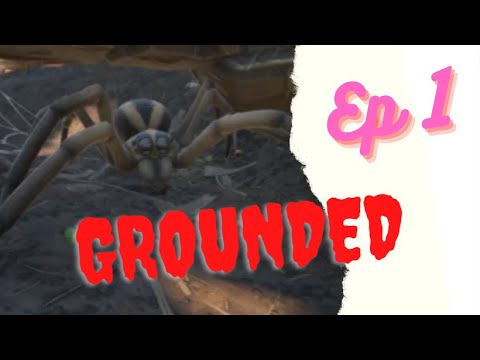 Fighting Spiders is Hard - Grounded (Ep 1) - YouTube