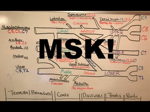 The MSK EXAM! How to Prepare | Term 1 SGU Med School - YouTube