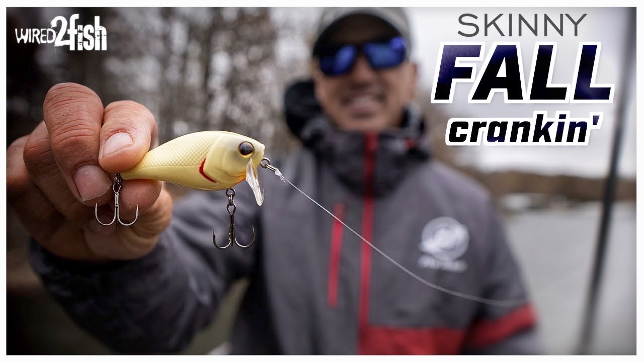 How to Fish Shallow-Diving Crankbaits for Fall Bass - YouTube