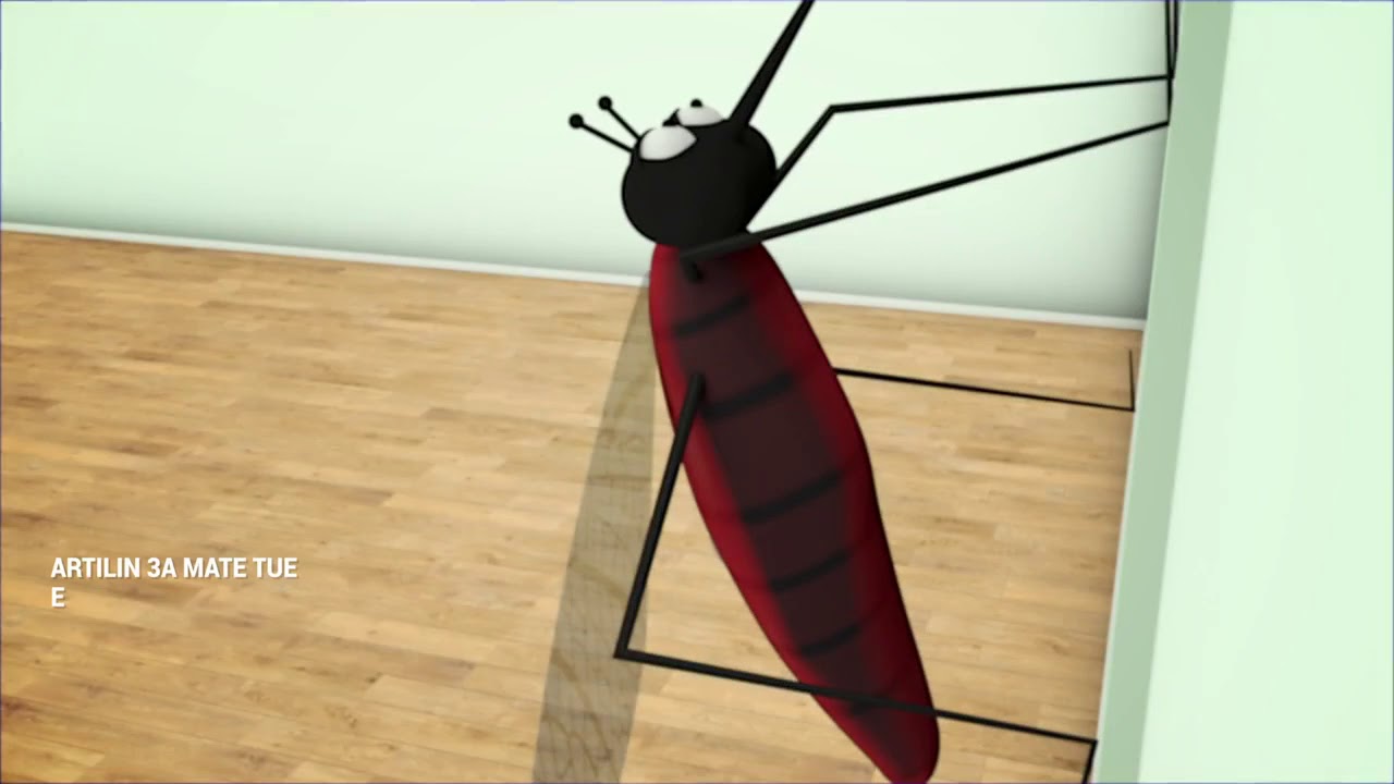 ARTILIN 3A MATE : Comment ça marche ? - YouTube