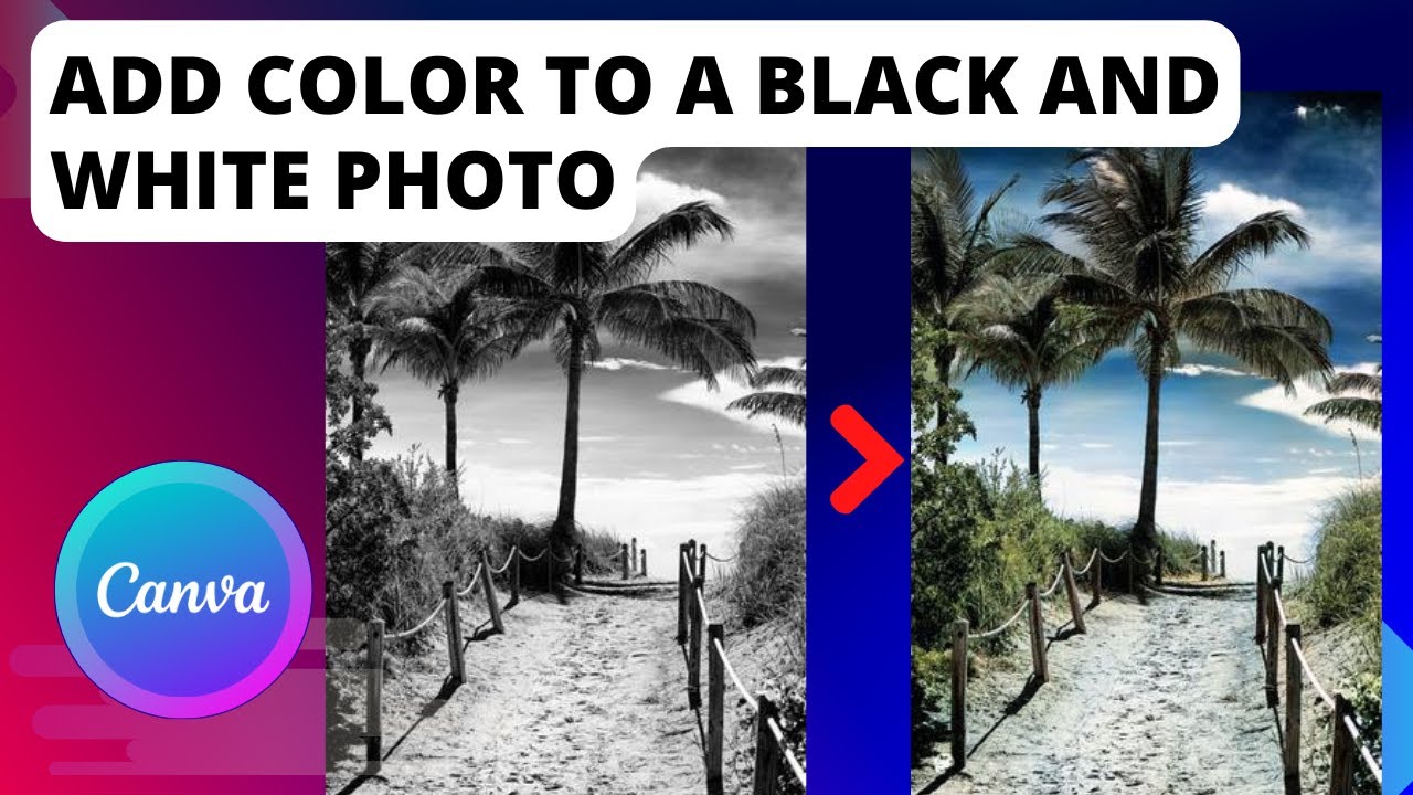 How To Add Color To A Black And White Photo In Canva - YouTube