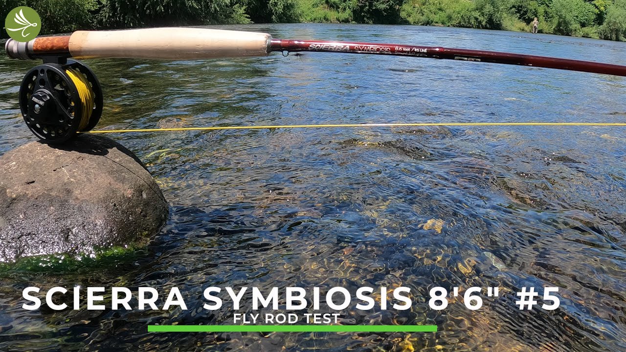 SCIERRA Symbiosis 8'6" #5 Fly Rod Test - YouTube