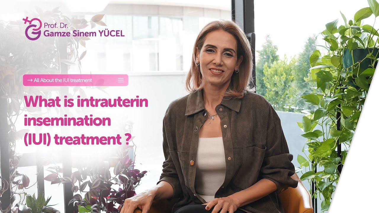What Is Intrauterin Insemination Treatment? | Professor Doctor Gamze ...