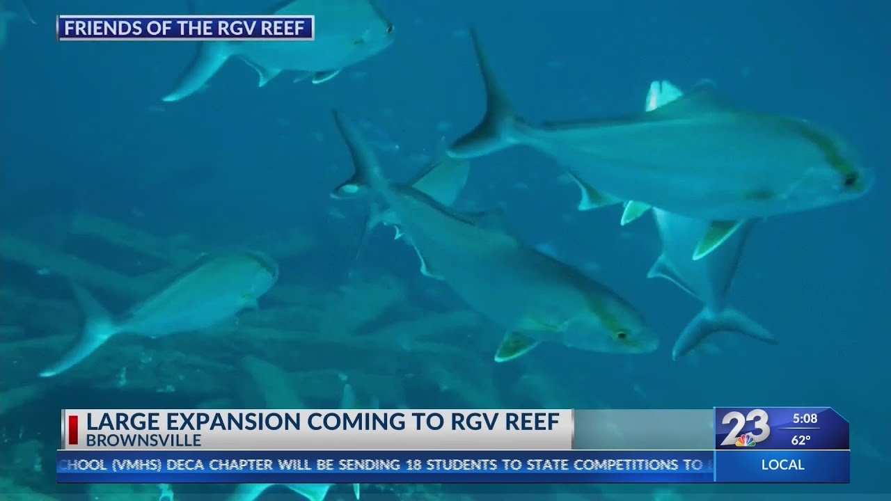RGV Reef Expansion - YouTube