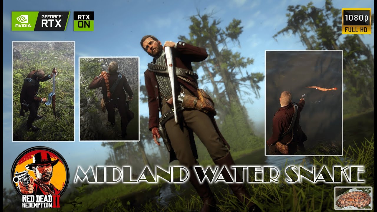 Red Dead Redemption 2 | MIDLAND WATER SNAKE - PERFECT | 1080p Ultra ...