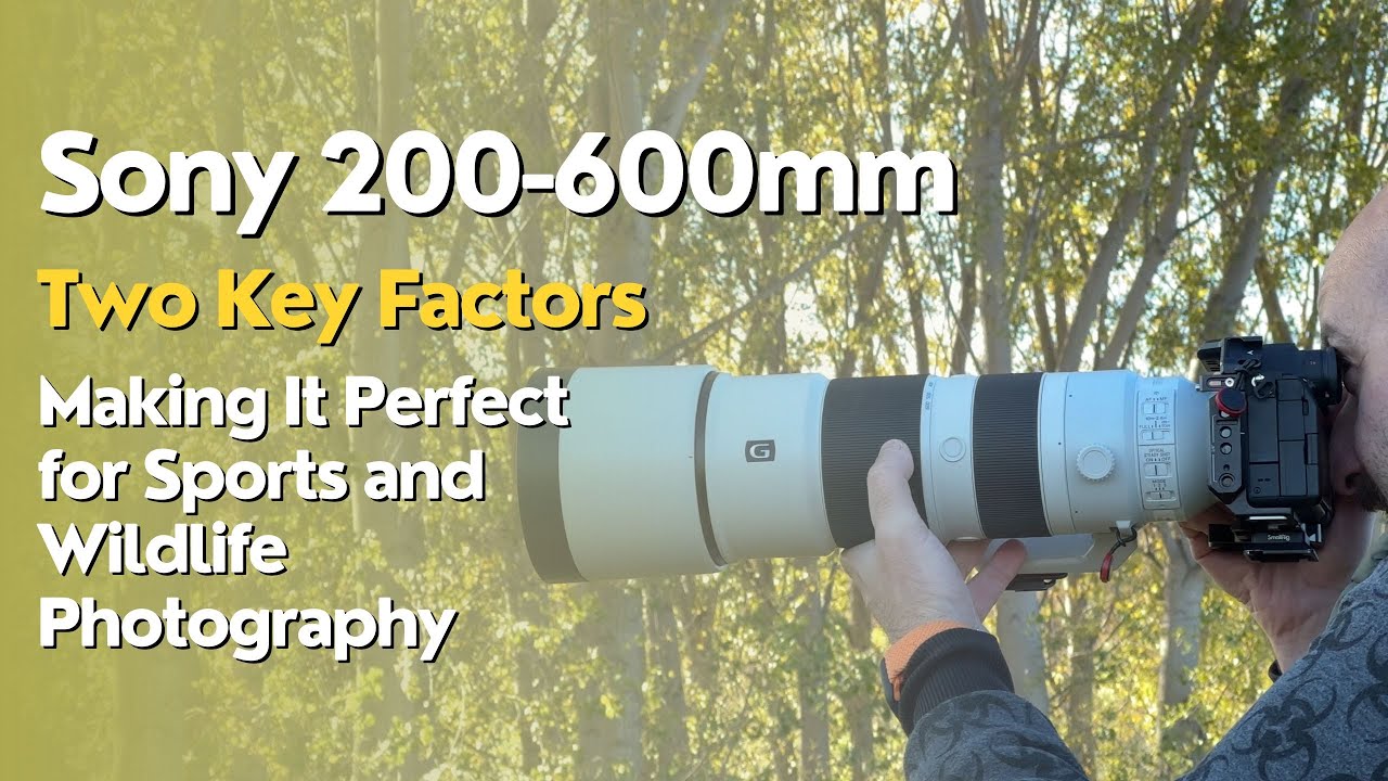 Discover the Dual Strengths of the Sony 200-600mm Lens for Wildlife and ...