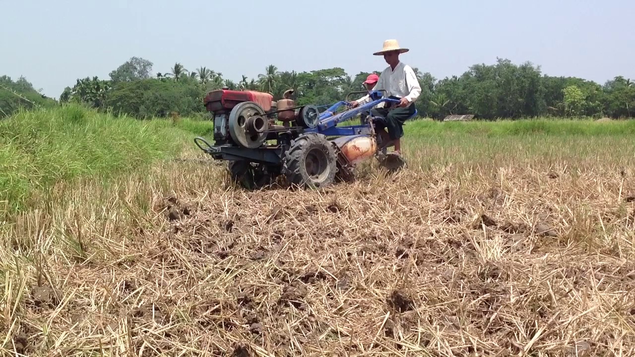 Green Manure Practice - YouTube