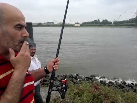 Gìt ara bul getir zwıjndrecht  ufak kahve molası