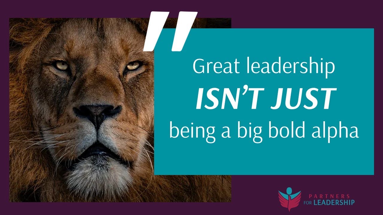 Breaking the Mould: More than just an Alpha Leadership Style - YouTube