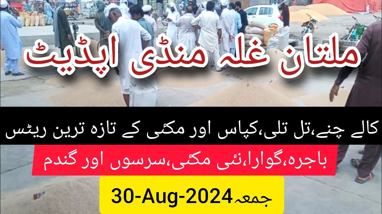 Multan galla mandi today update. kaly chany, maize,gawara, bajra, monki, sersoon, gandam ...