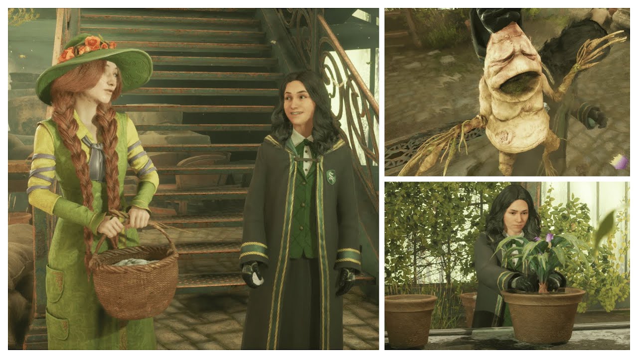 Hogwarts Legacy (PC) - First Herbology Class (Mandrakes, Dittany, and ...