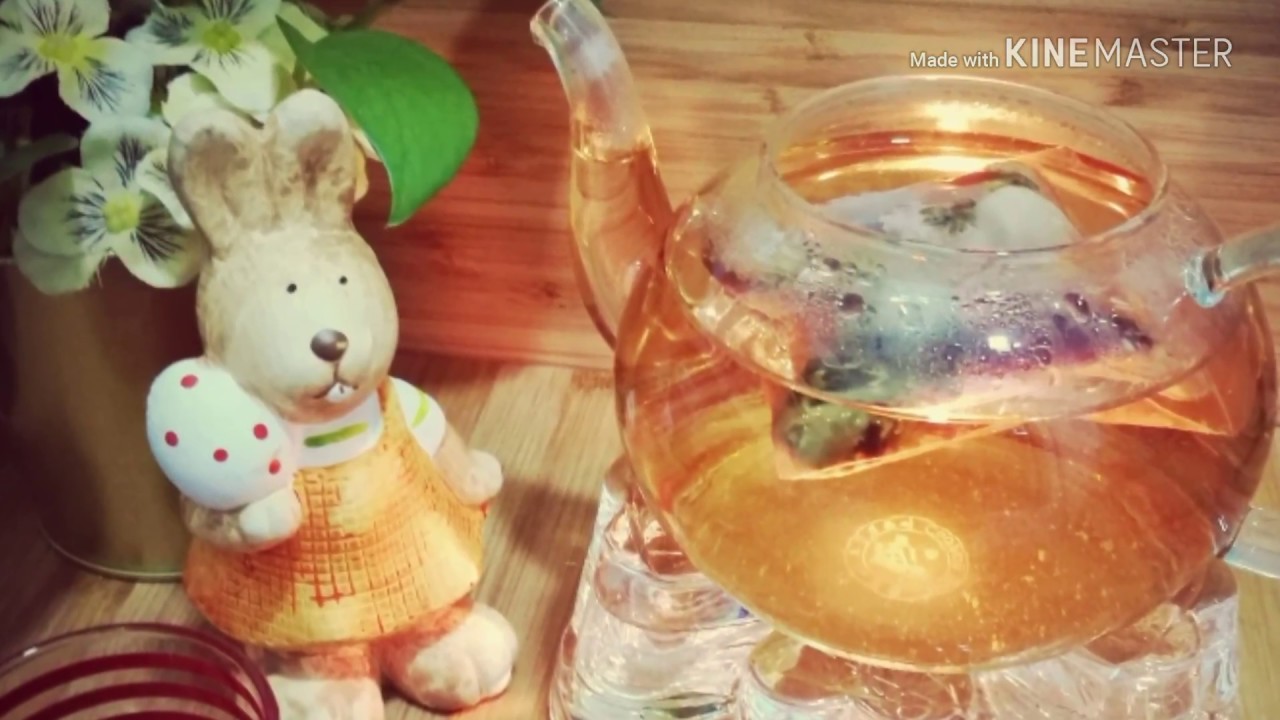 甜菊叶护眼茶 Stevia Bright Eye Tea - YouTube