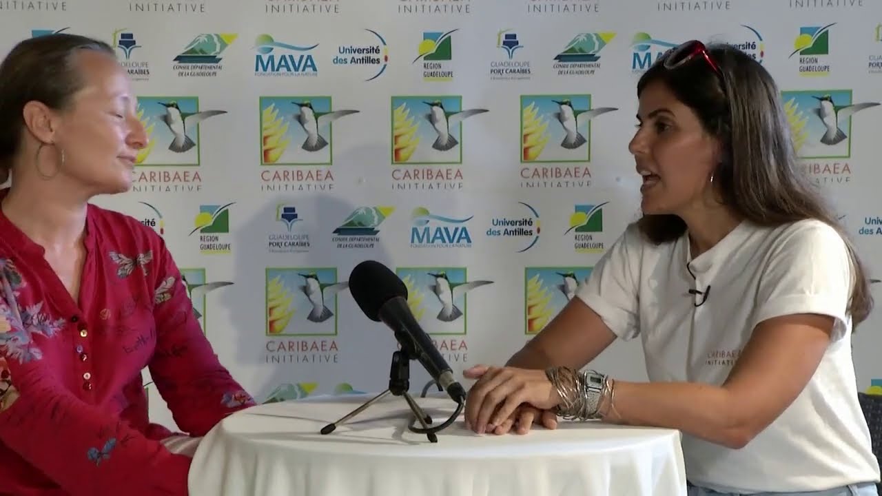 Entrevista con Annabelle Vidal por Sophie Arnaud-Haond - YouTube